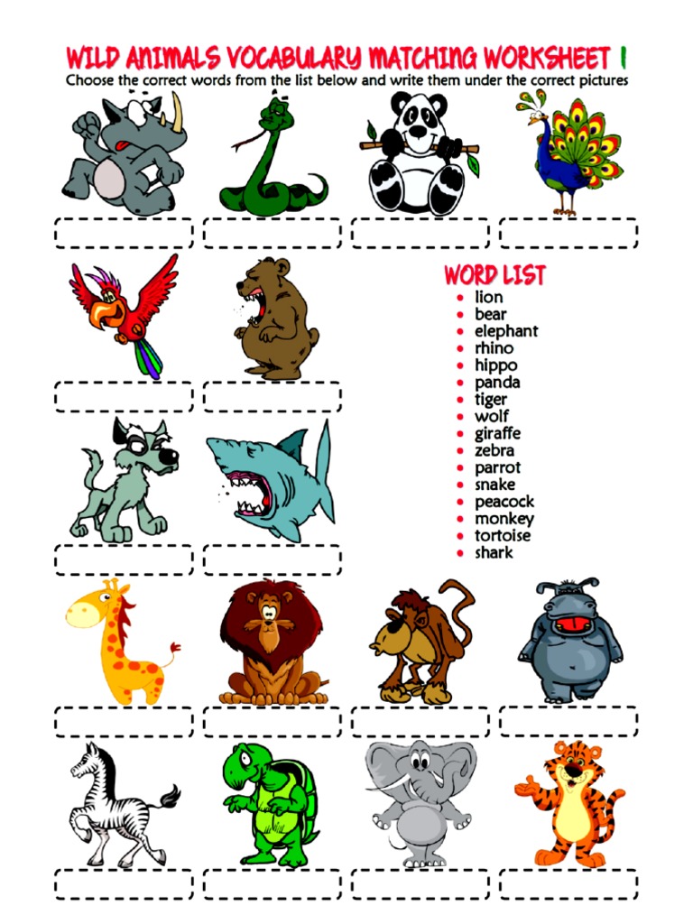 Animals Vocabulary | PDF