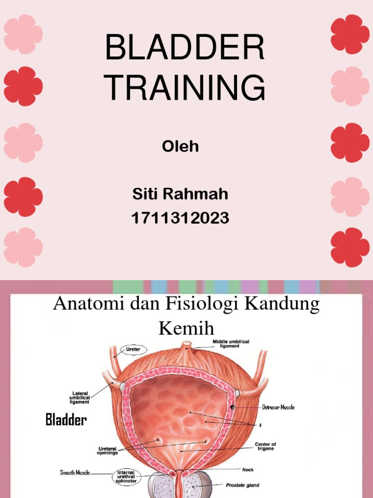 Bladder Training | PDF | Griya & Taman | Kesehatan Holistik