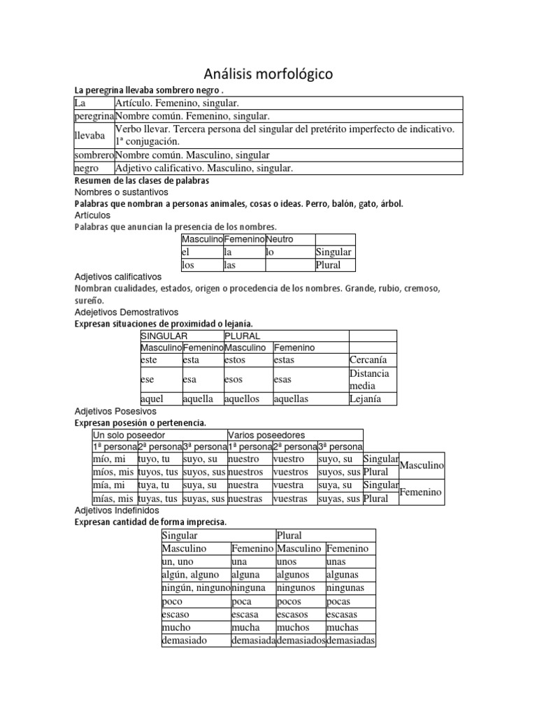 Análisis Morfológico | PDF | Adjetivo | Sustantivo