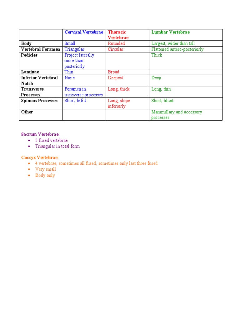 Vertebrae Structure Overview | PDF | Self-Improvement