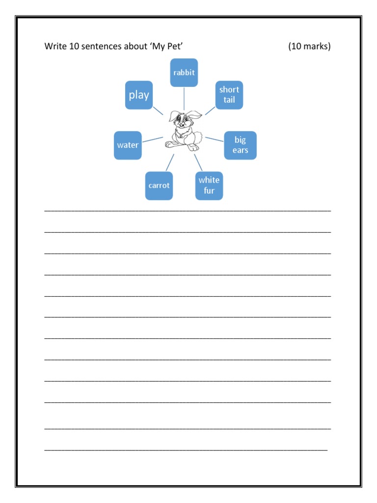 Write 10 Sentences About | PDF | Rabbits And Hares | Lagomorphs