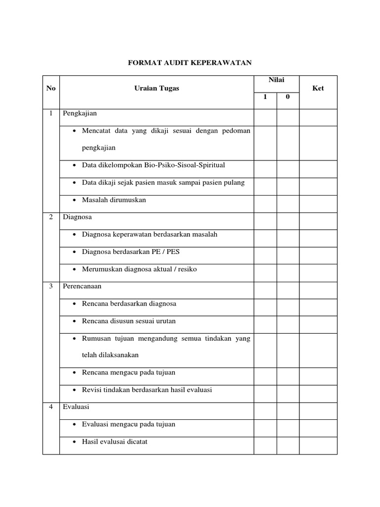 Format Audit Keperawatan | PDF