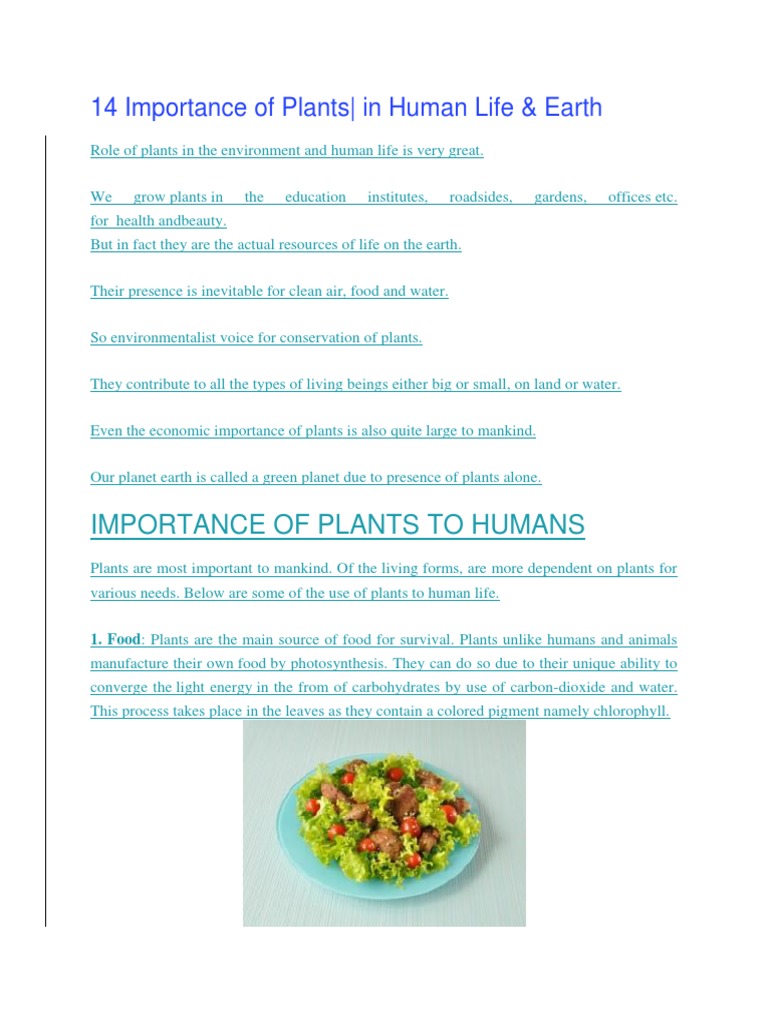 14 Importance of Plants | PDF | Soil Fertility | Plants