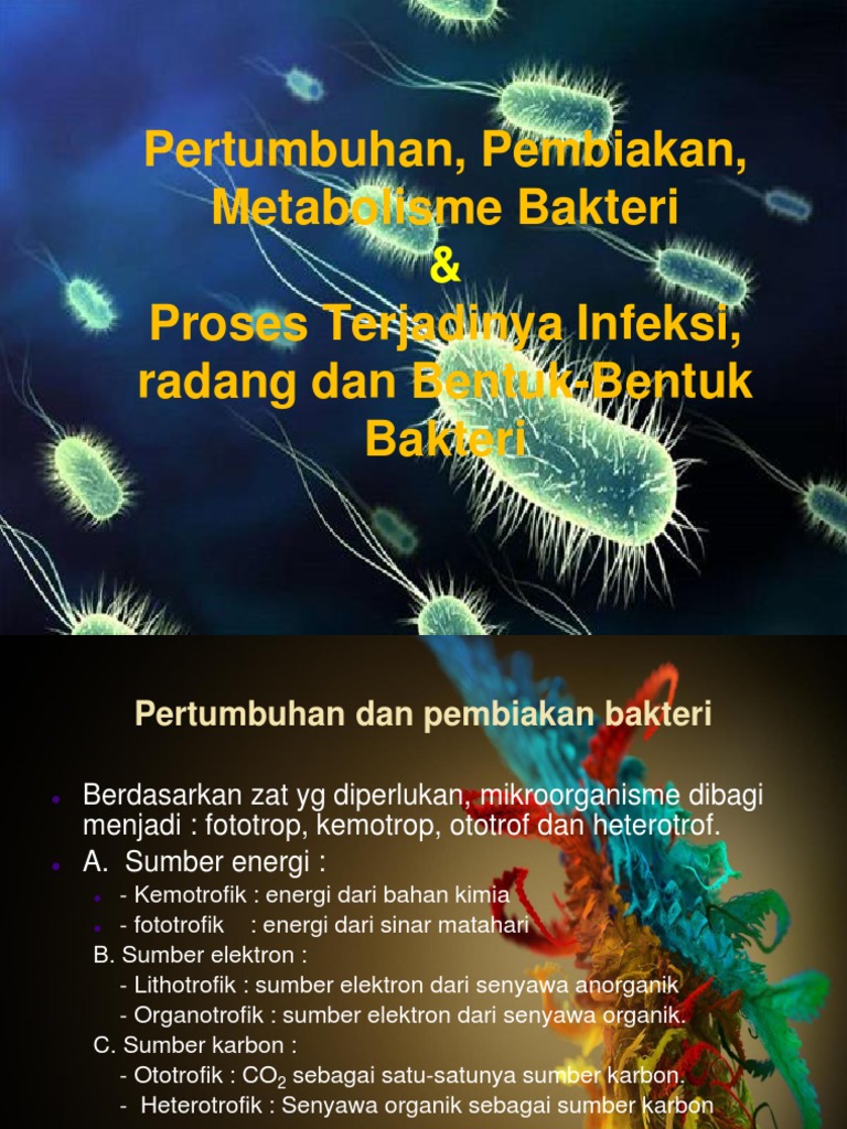 Proses terjadinya infeksi