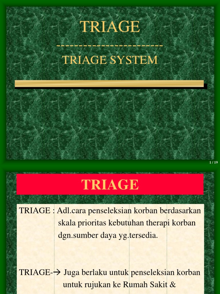 Triage System | PDF