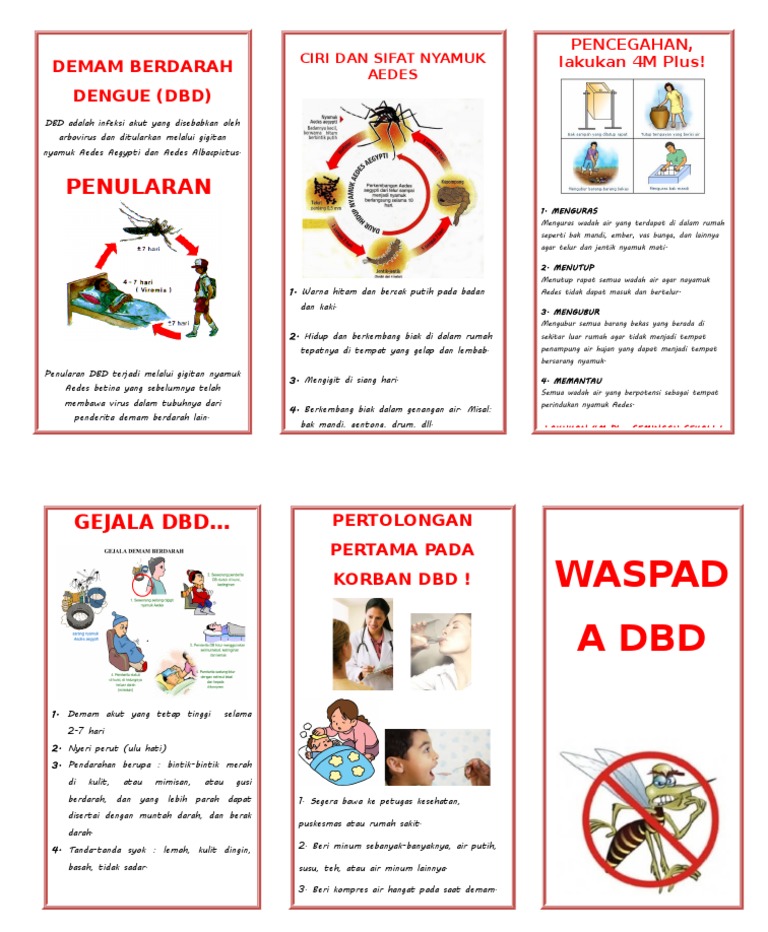 Leaflet DHF Ronde | PDF
