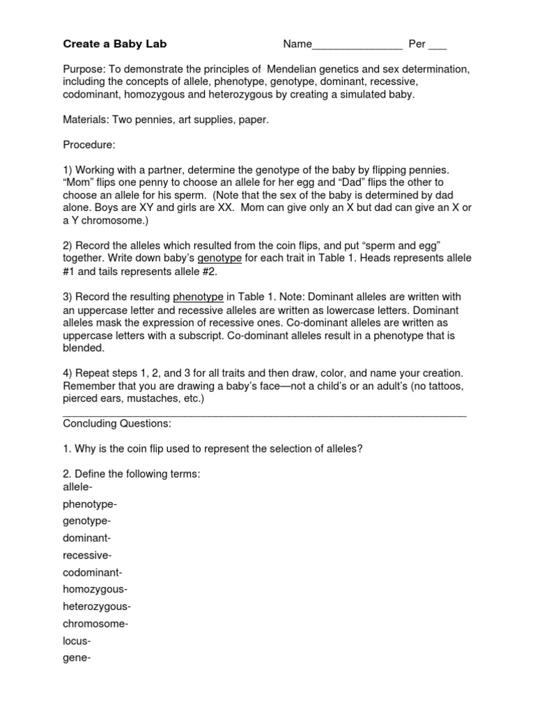 7 - Create A Baby Lab | PDF | Dominance (Genetics) | Allele