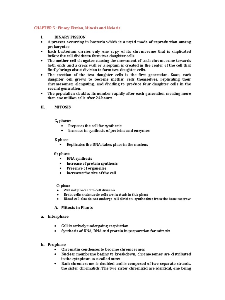 I. Binary Fission | PDF | Meiosis | Mitosis