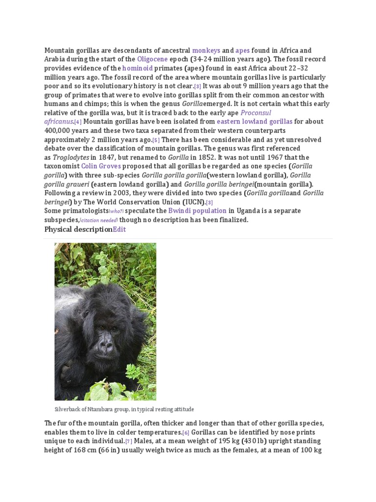 Evolutionary History and Physical Description of Mountain Gorillas ...