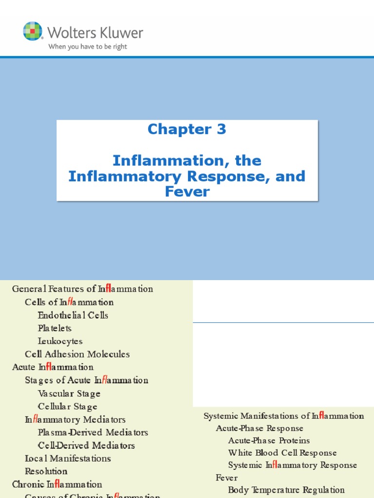 Inflammatory Response Pathophysiology | PDF | Granulocyte | Inflammation