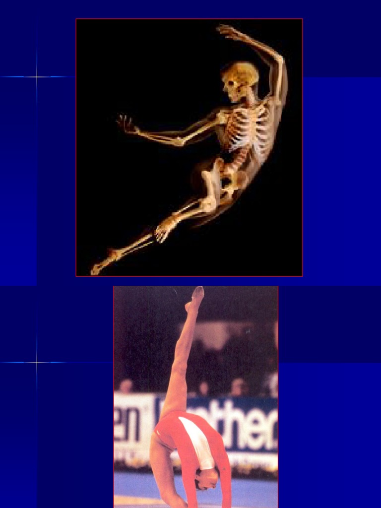 Anatomi Dan Fisiologi Sendi | PDF