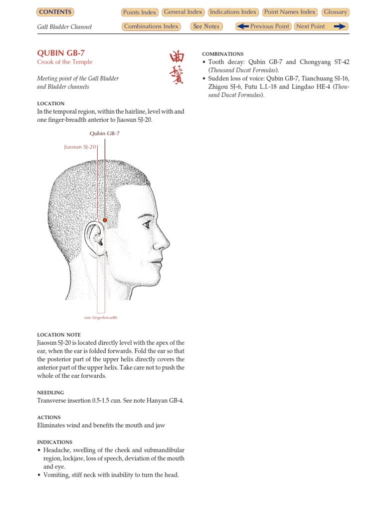 Qubin Gb-7: Crook of The Temple | PDF | Animal Anatomy | Organ (Anatomy)