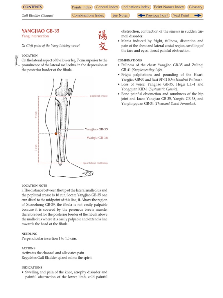 Yangjiao Gb-35: Gall Bladder Channel 1 | PDF | Human Leg | Human Anatomy