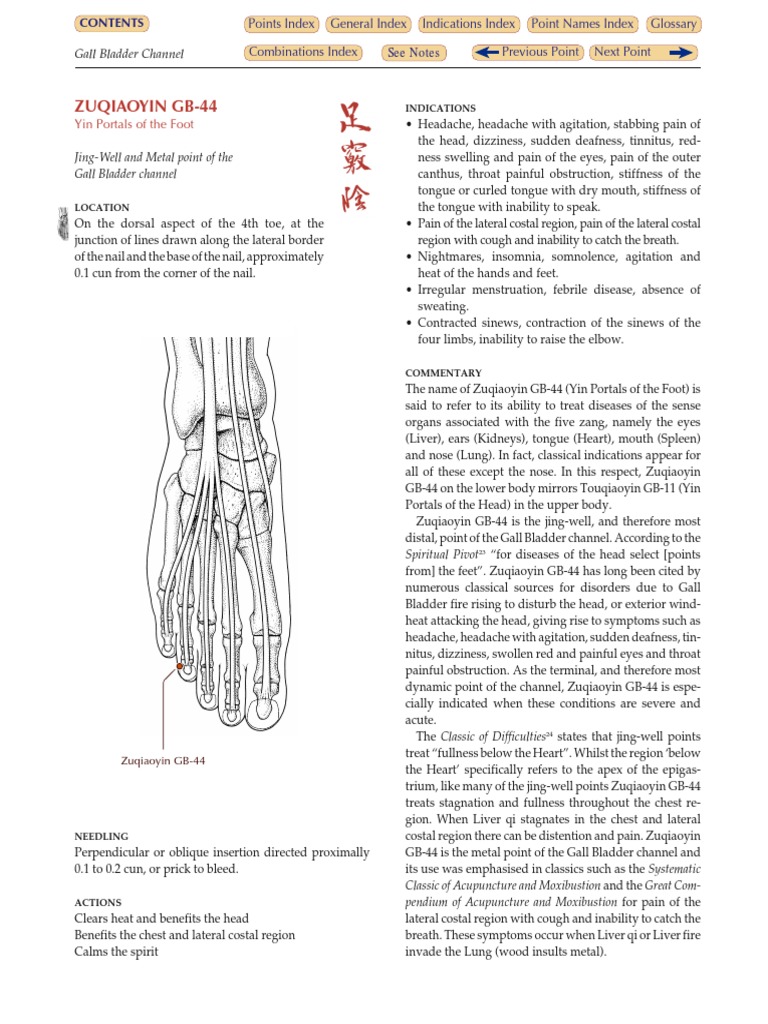Acupuncture: Gall Bladder Channel | PDF | Thorax | Acupuncture