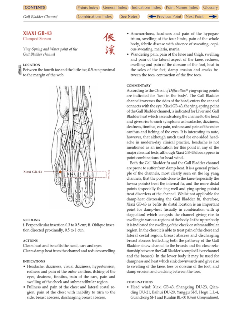GB 43 PDF | PDF | Organ (Anatomy) | Animal Anatomy