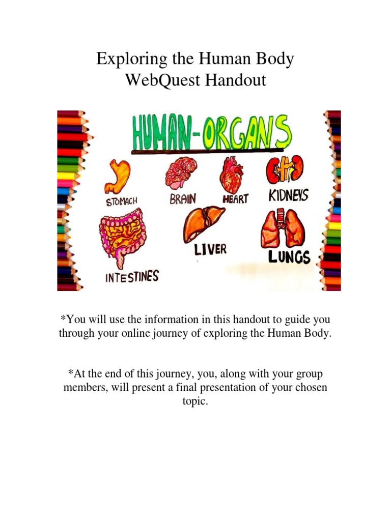 Human Body Webquest Paper Handout-1 | PDF | Behavior Modification | Learning