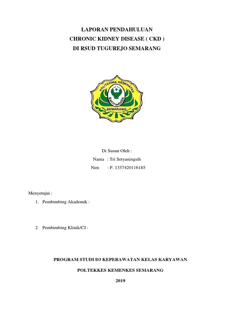 LP CKD Ruang Icu | PDF