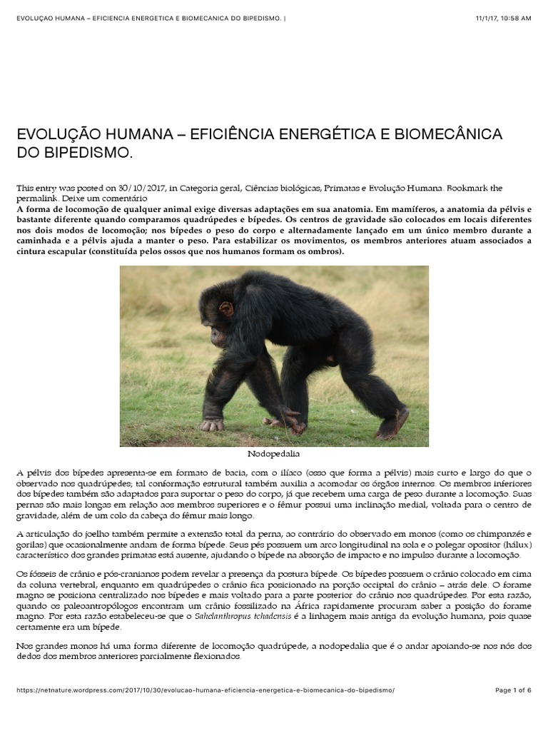 Bipedismo | PDF | Humano | Evolução