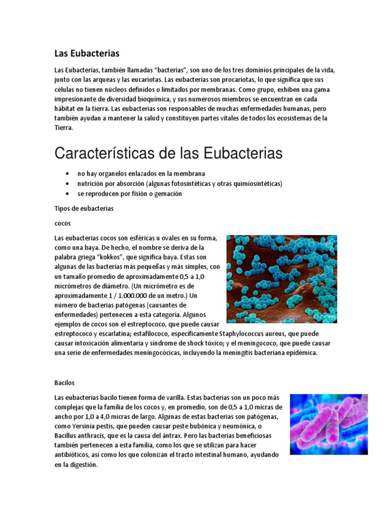 Tipos de Eubacterias | PDF | Las bacterias | Metabolismo