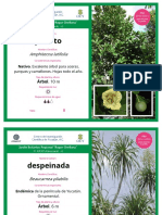 Bingo de Plantas Fotos | PDF
