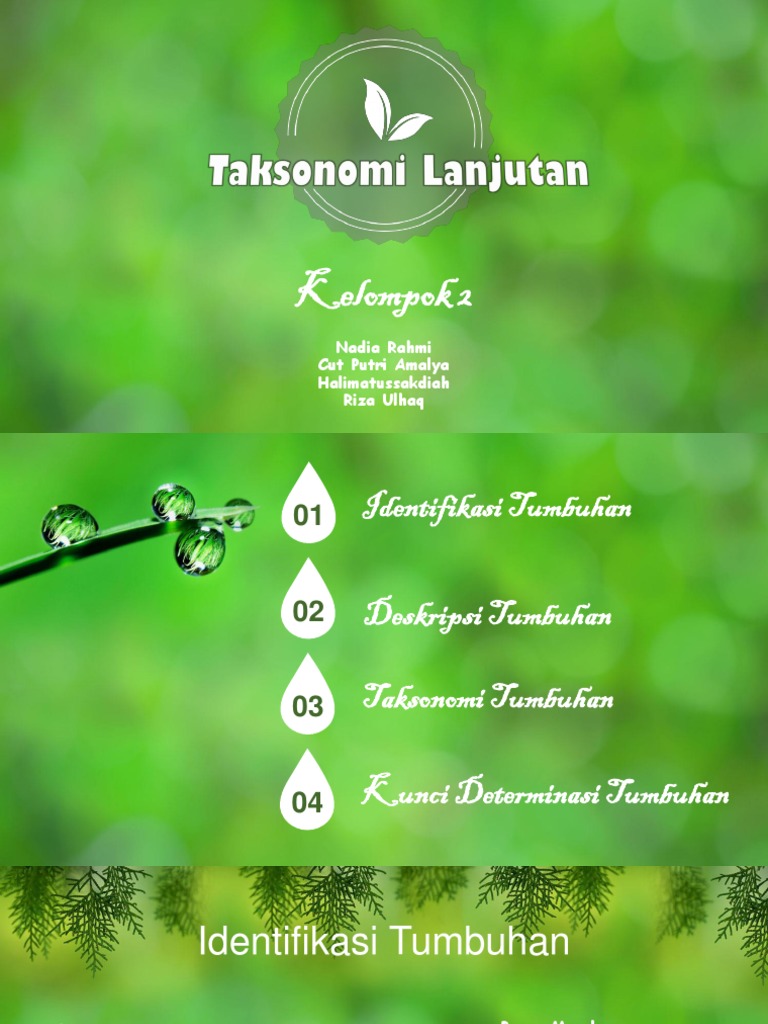 Taksonomi Lanjutan | PDF