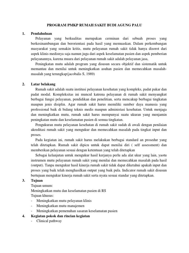 Program PMKP Rumah Sakit Budi Agung Palu | PDF