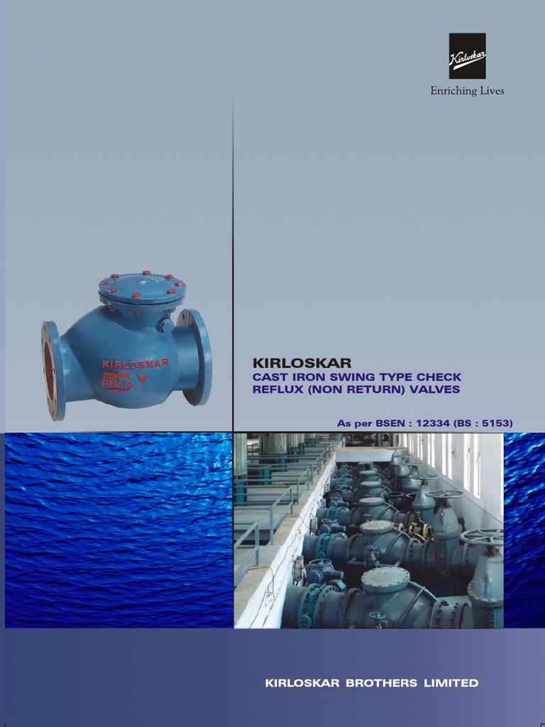 Non Return Valve PDF | Download Free PDF | Steel | Metals