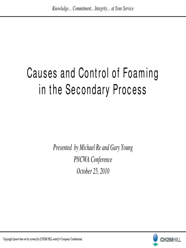 Causes and Control of Foaming in The Secondary Process | PDF | Chemical ...