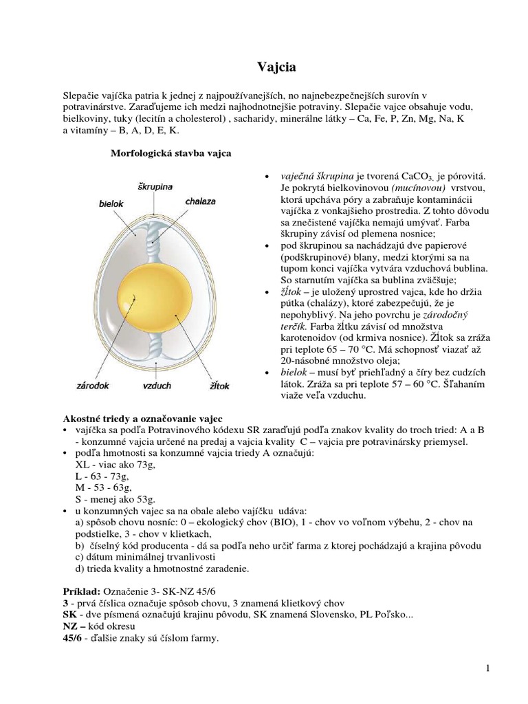Vajcia | PDF