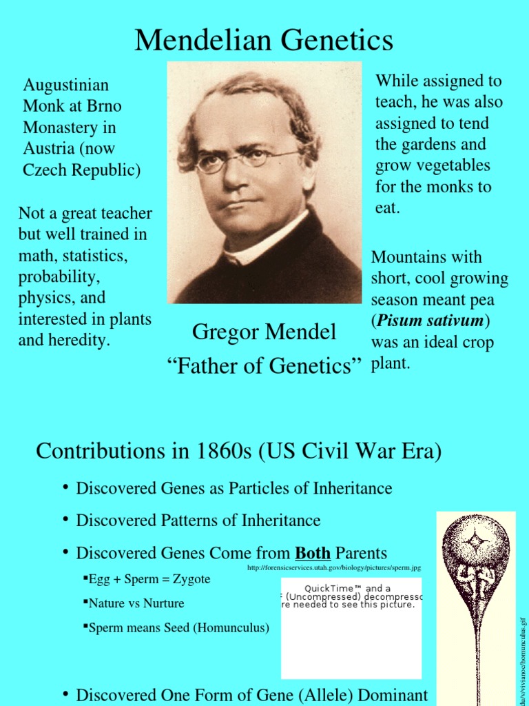 Mendelian Genetics: Gregor Mendel "Father of Genetics" | PDF ...