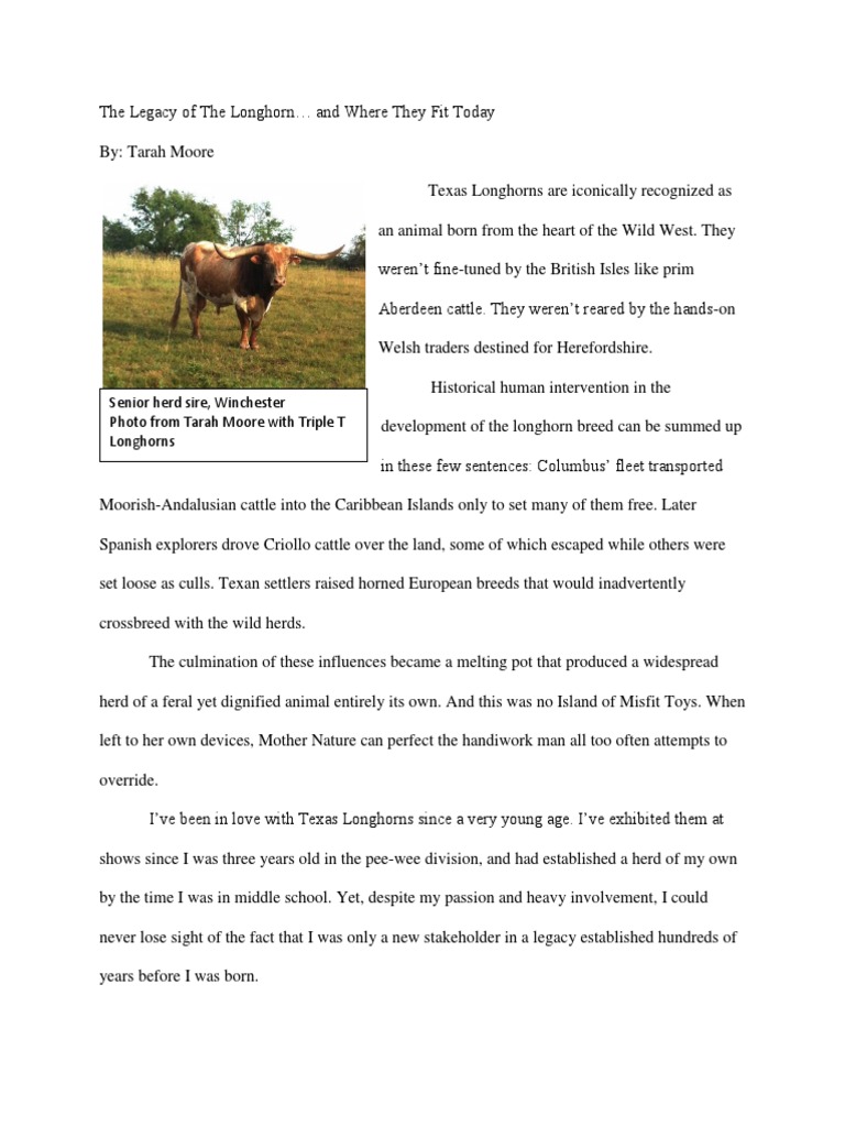 Longhorn Legacy | PDF | Cattle | Heredity