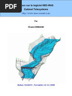 Guide d'utilisation du logiciel Hyfran Plus | PDF | Loi de probabilité ...