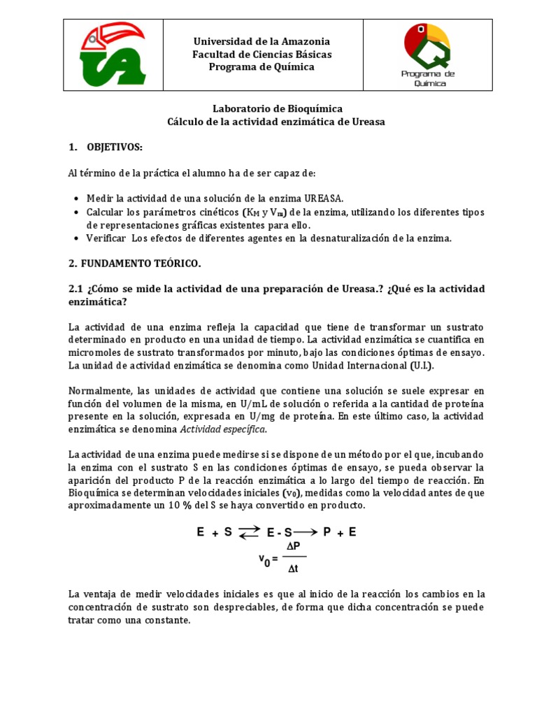 Guia 5. Actividad Enzimática Ureasa | PDF | Enzima | Química