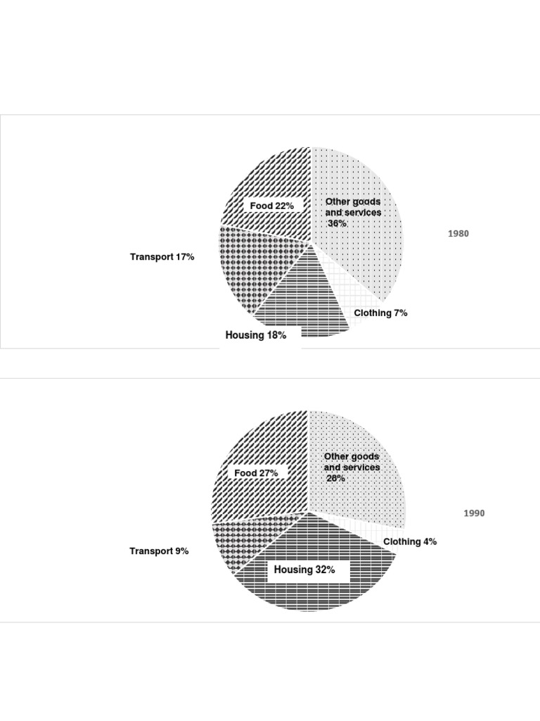 Pie Chart Test | PDF
