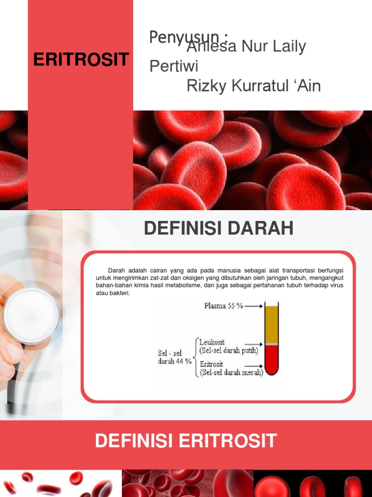 Eritrosit (Sel Darah Merah) | PDF