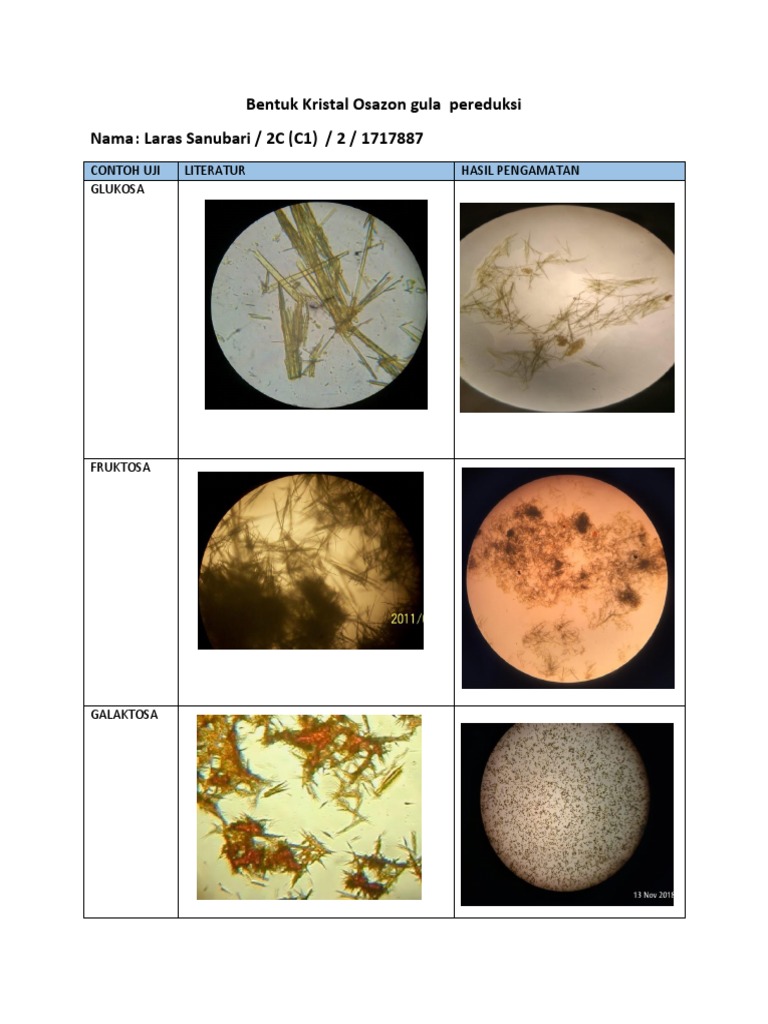 Bentuk Kristal Osazon Gula Pereduksi | PDF