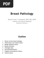Pathology Outlines - Nonproliferative fibrocystic changes | PDF ...