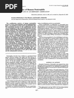 Frontal Fab Scale Pdf