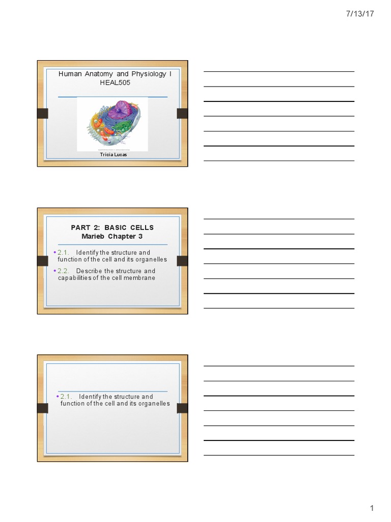 Human Anatomy and Physiology I HEAL505: Part 2: Basic Cells Marieb Chapter 3 | Download Free PDF ...