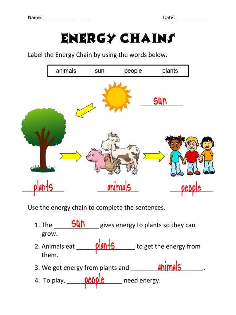 1 Science Energy Chains Answers | PDF | Nature | Energy And Resource