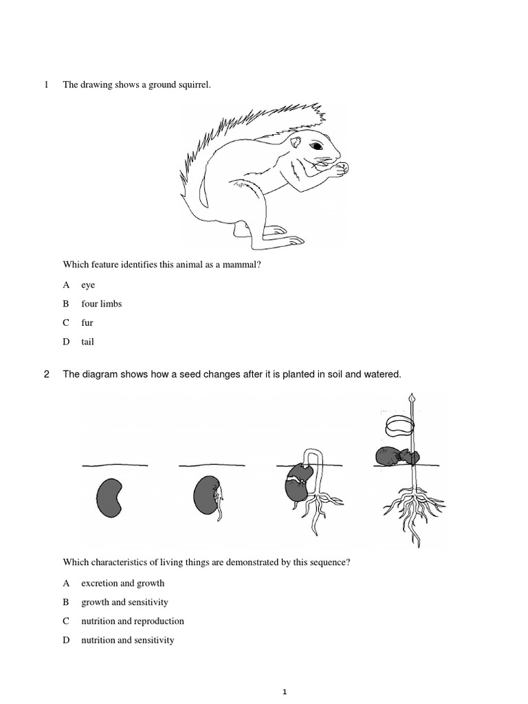 Igcse Bio | PDF | Sexual Reproduction | Fertilisation