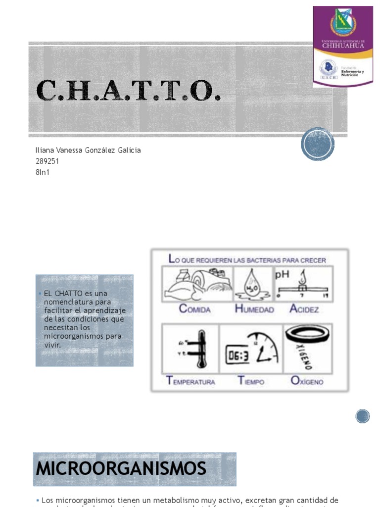 Chatto | PDF | Alimentos | Las bacterias
