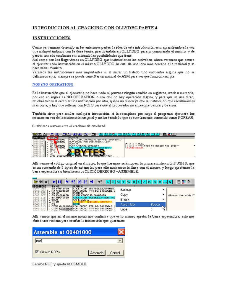 04-Introduccion Al Cracking Con Ollydbg Parte 4 | PDF | Poco | Electrónica digital