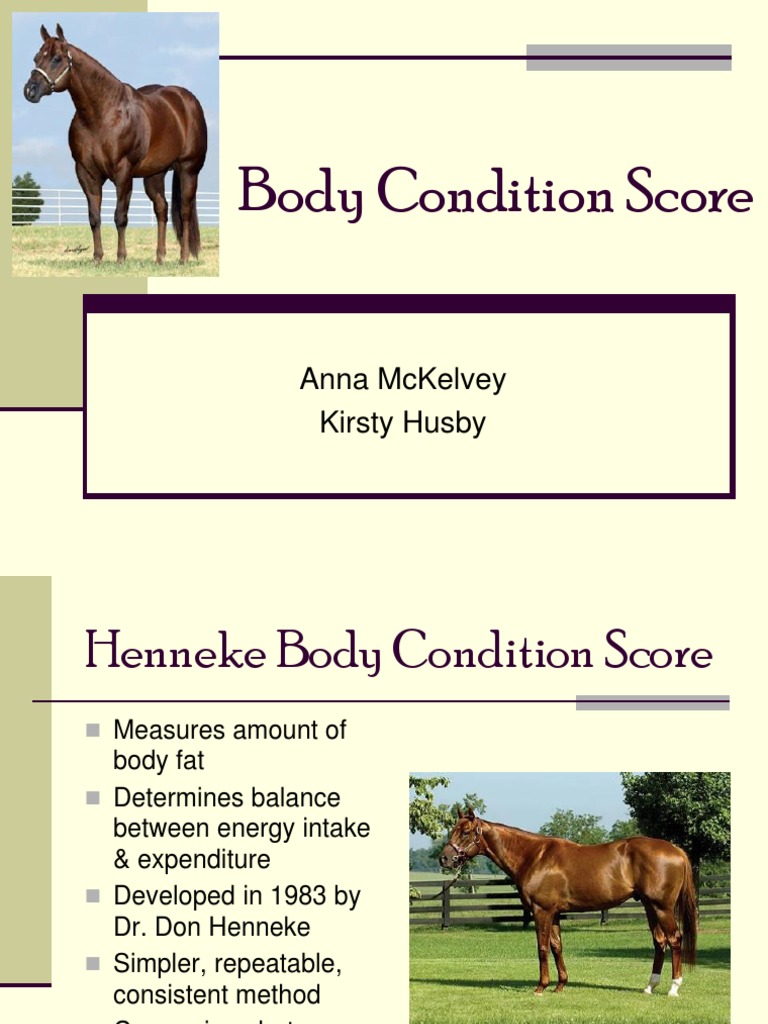 Henneke Body Condition Score Guide | PDF | Equus | Horses