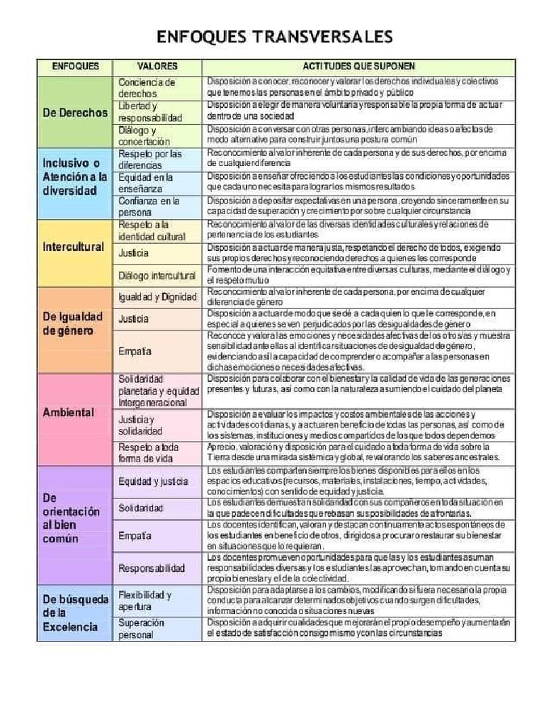 enfoques transversales.docx