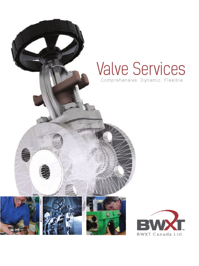 E201 1005 Valve Services | PDF | Engineering | Business