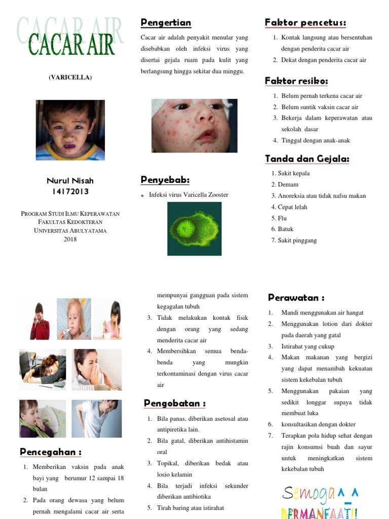 Leaflet Cacar Air | PDF