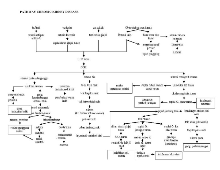 Pathway CKD Plamonia | PDF