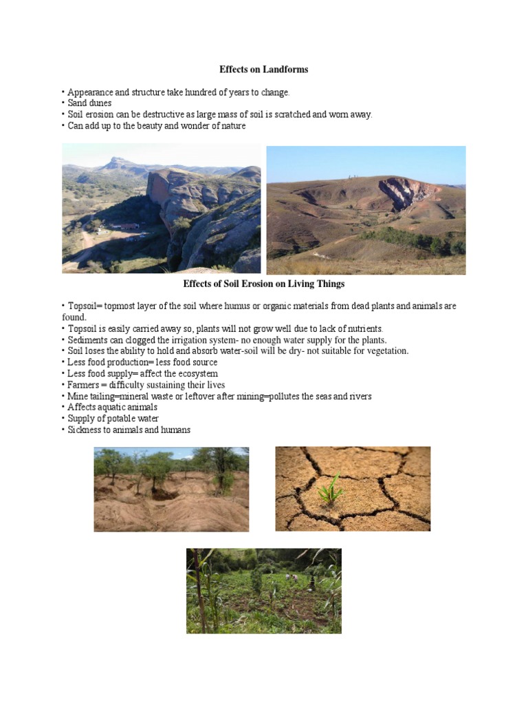 Effects On Landforms | PDF | Plough | Soil