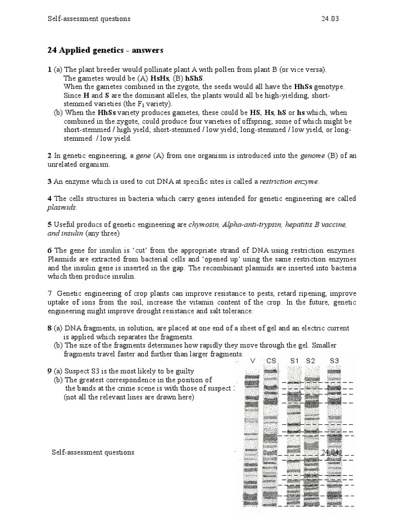 Applied Genetics Answers | PDF | Genetic Engineering | Genetics
